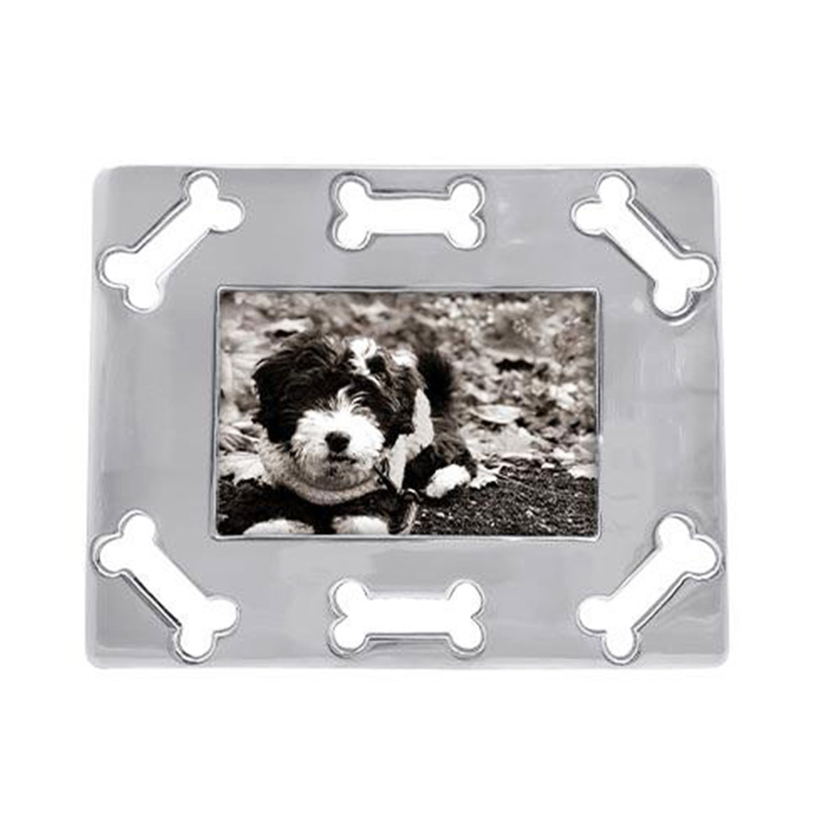 Dog Bone Frames – The Butter Paddle